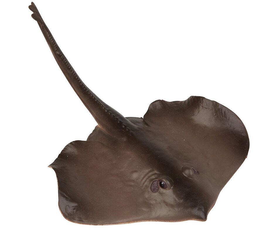 Animal themed toys and gifts from Ravensden