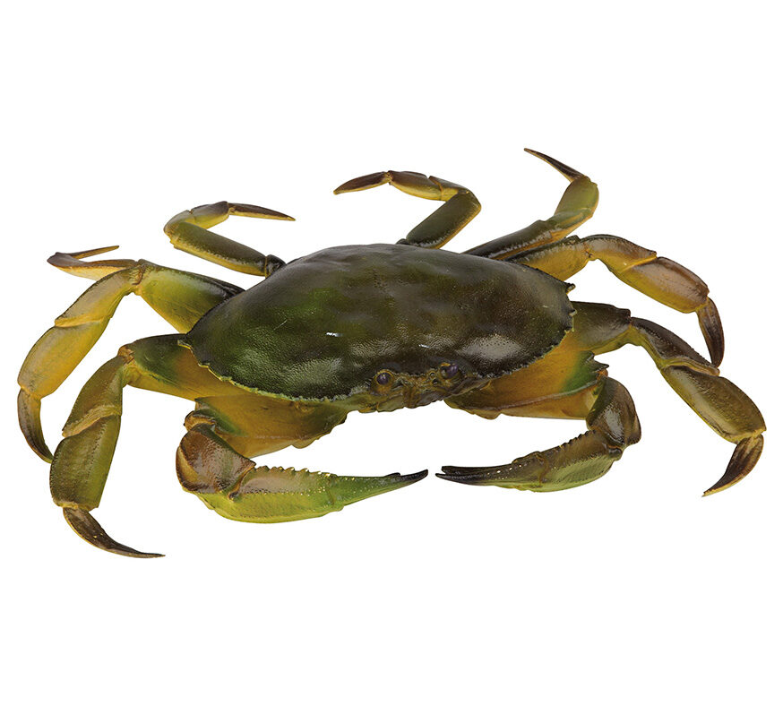 Animal themed toys and gifts from Ravensden